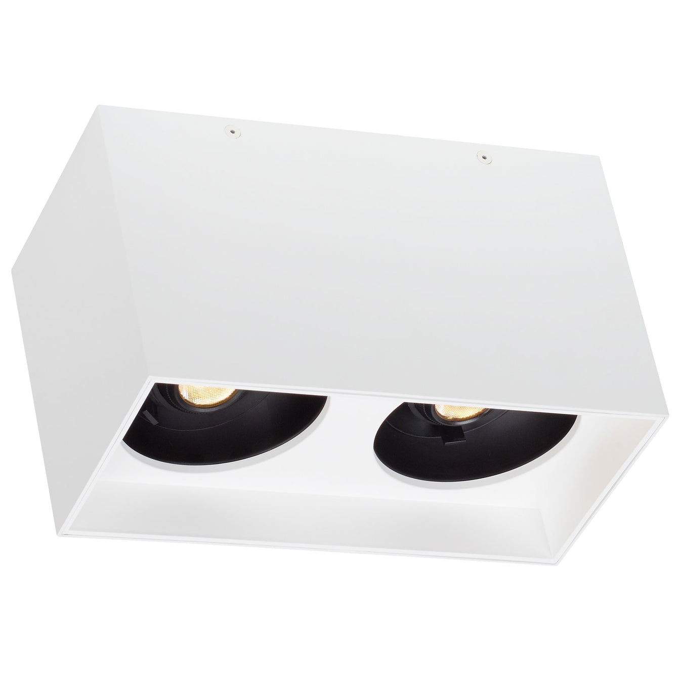 Visual Comfort Architectural 700FMEXOD640WW-LED930 Exo Dual Ceiling ...