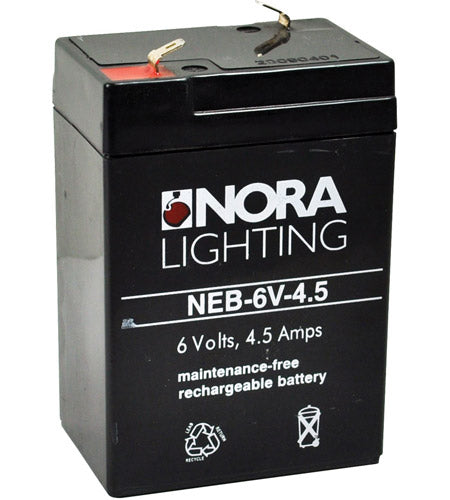 Nora Lighting NEB-6V-4.5 Aaliyah 1 Light Exit / Emergency Ceiling Light ...